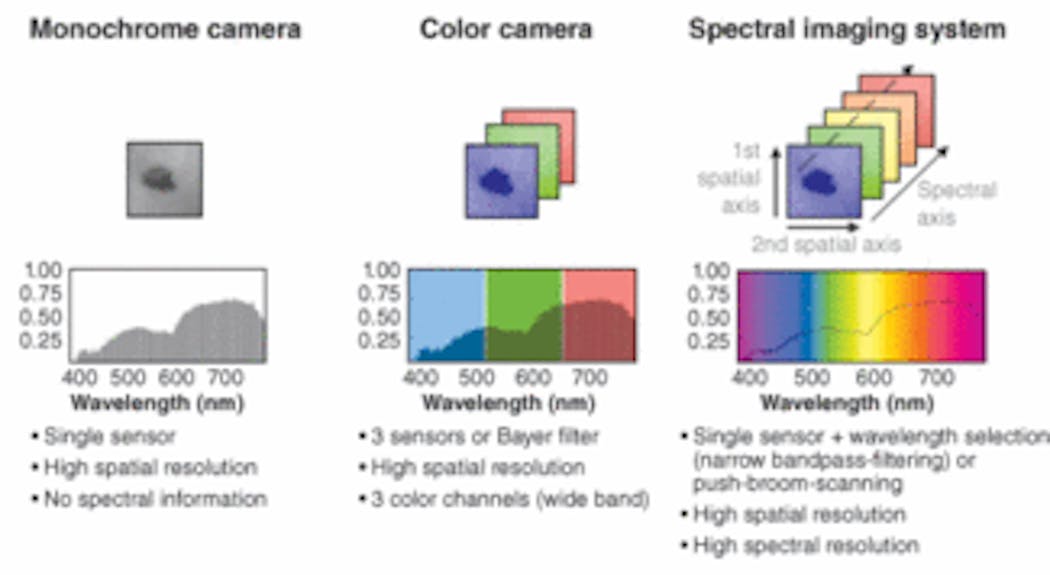 Microscopy Imaging: Hyperspectral microscope benefits from InGaAs ...