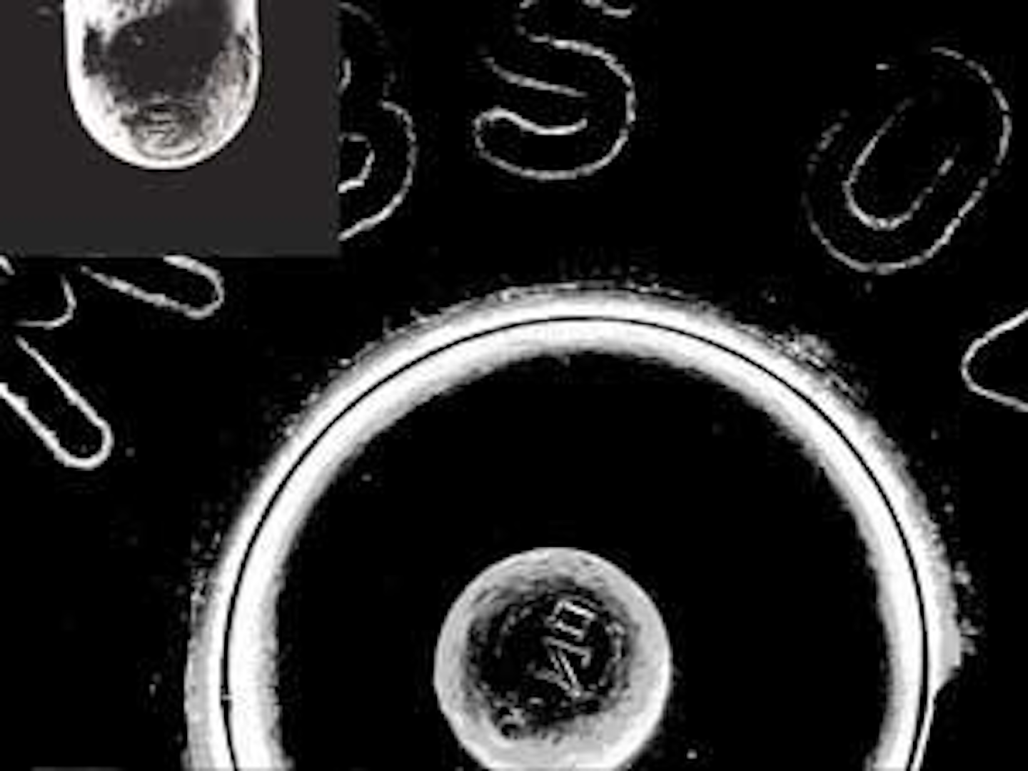 Laser etching may help investigators ID bullets | Laser Focus World