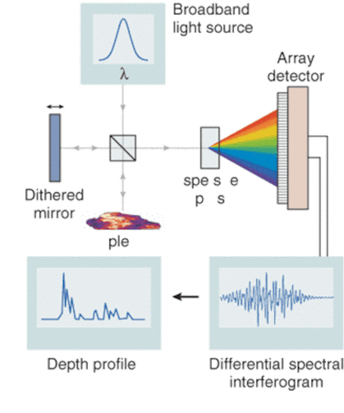 Differential spectral interferometry may boost dynamic range of OCT ...