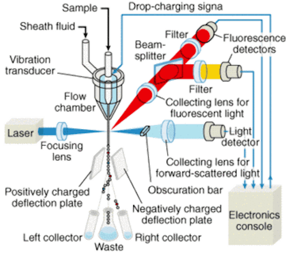 Semiconductor lasers shed new light on flow cytometry | Laser Focus World