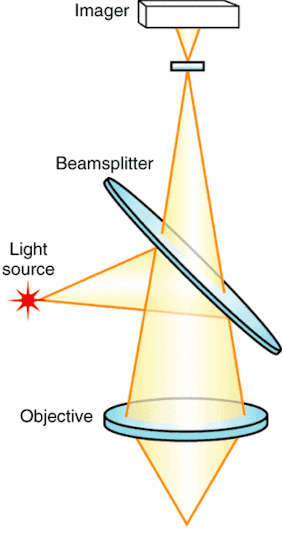 Confocal microscope lenses sharpen your sights | Laser Focus World