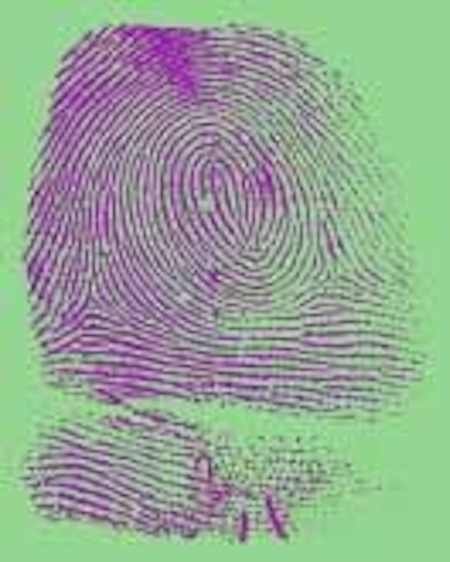 NIST releases software tools for fingerprint image analysis | Laser ...