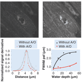 Adaptive optics sharpens multiphoton-microscope images | Laser Focus World