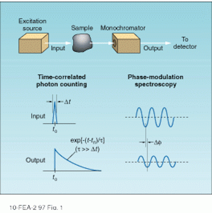 Time Resolved Spectroscopy Defines Biological Molecules Laser Focus World