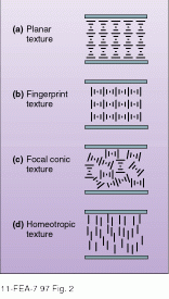 Liquid crystals display brighter colors | Laser Focus World