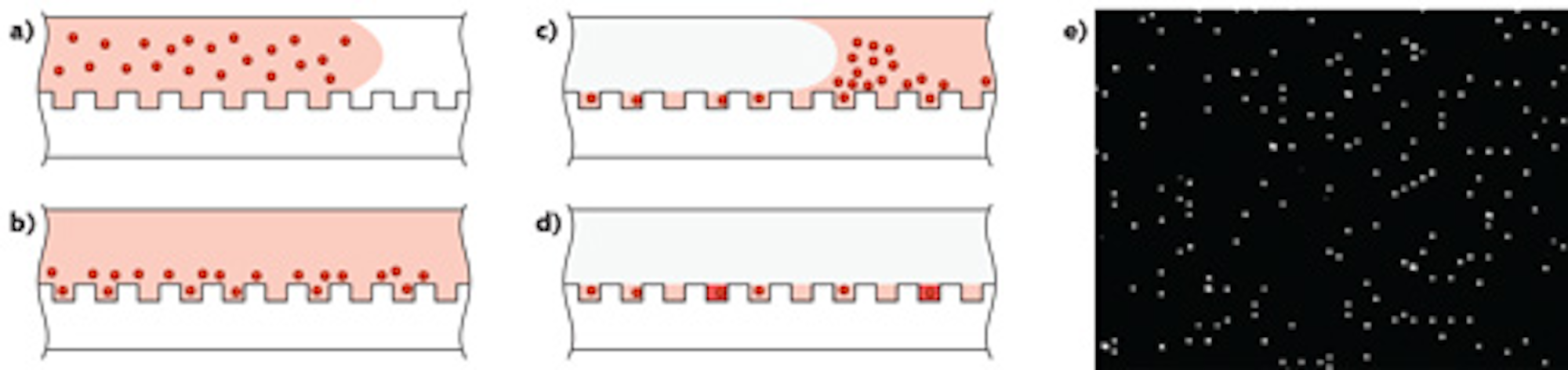 Fluorescence Single Molecule Detection Automated Single Molecule