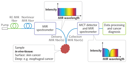 Mid-infrared Spectroscopy/Bioimaging: Moving toward MIR optical biopsy ...