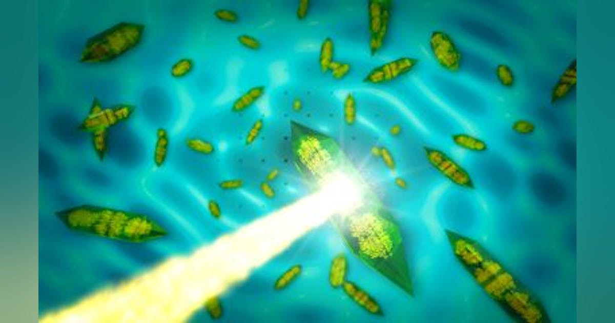 X Ray Laser Harnesses Crystal Imperfections To Allow For Better