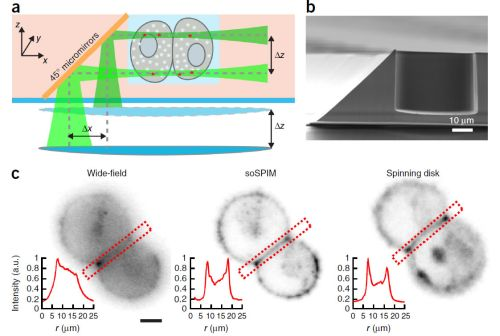 Light-sheet microscopy technique is possible on standard microscopes ...