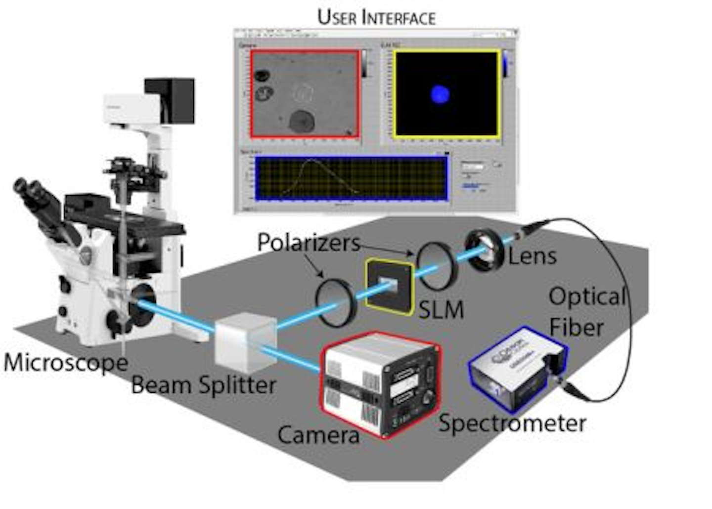 Modified fluorescence microscope can view spectrum from specific ...
