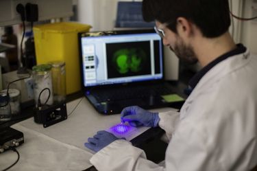 Research team develops visible light-activatable drug to treat pain ...