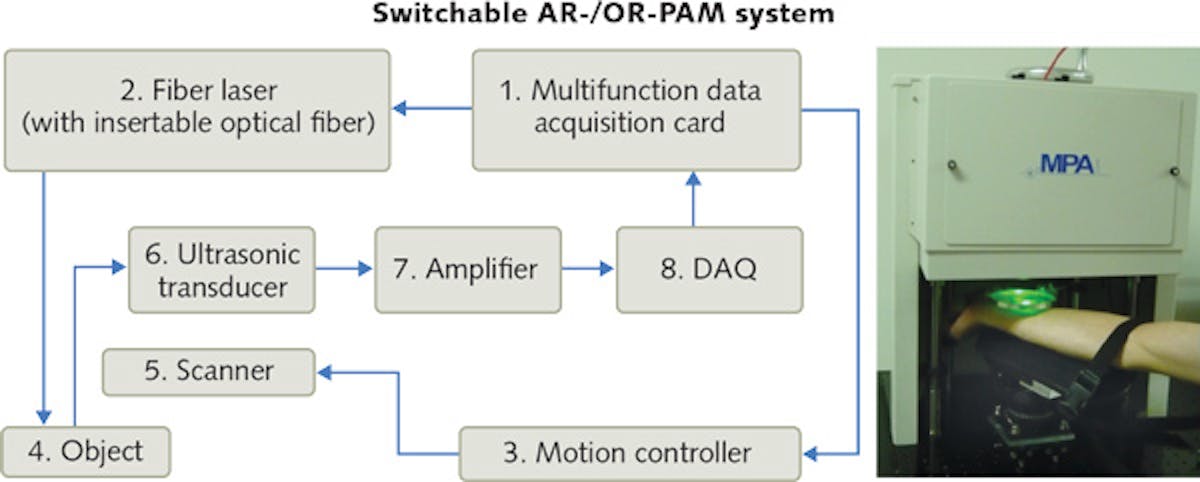 Photoacoustics/Microscopy/Bioimaging: Photoacoustic microscopy enters ...