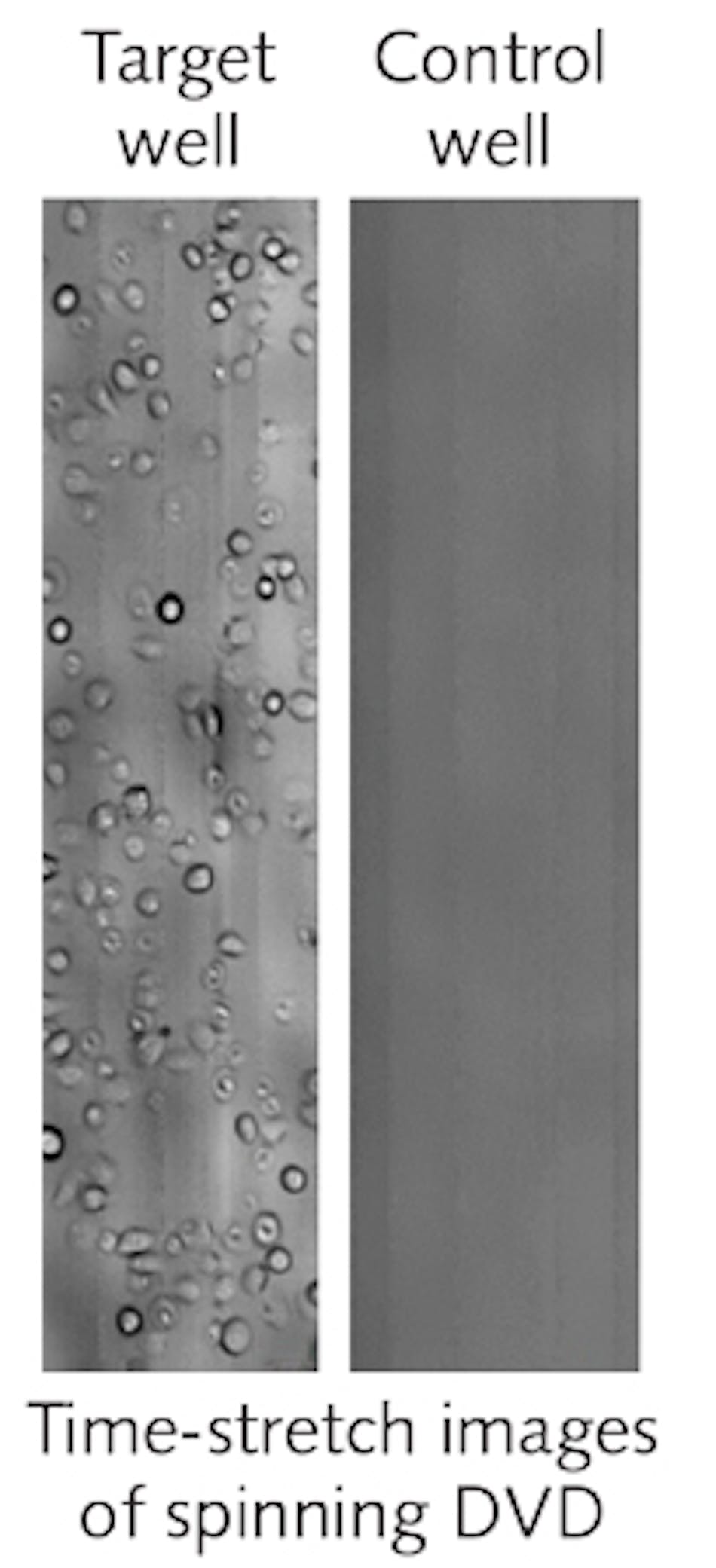 Spectroscopy: Time-stretch spectroscopy STEAMs ahead | Laser Focus World