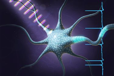 Ultrafast light-pulse method could control neuron activity | Laser ...