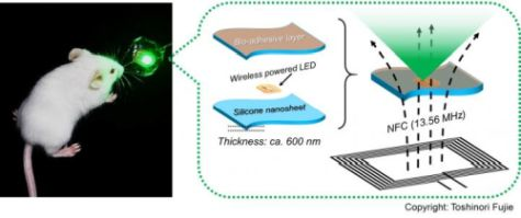Bioadhesive, wirelessly powered implant emits light to destroy cancer ...