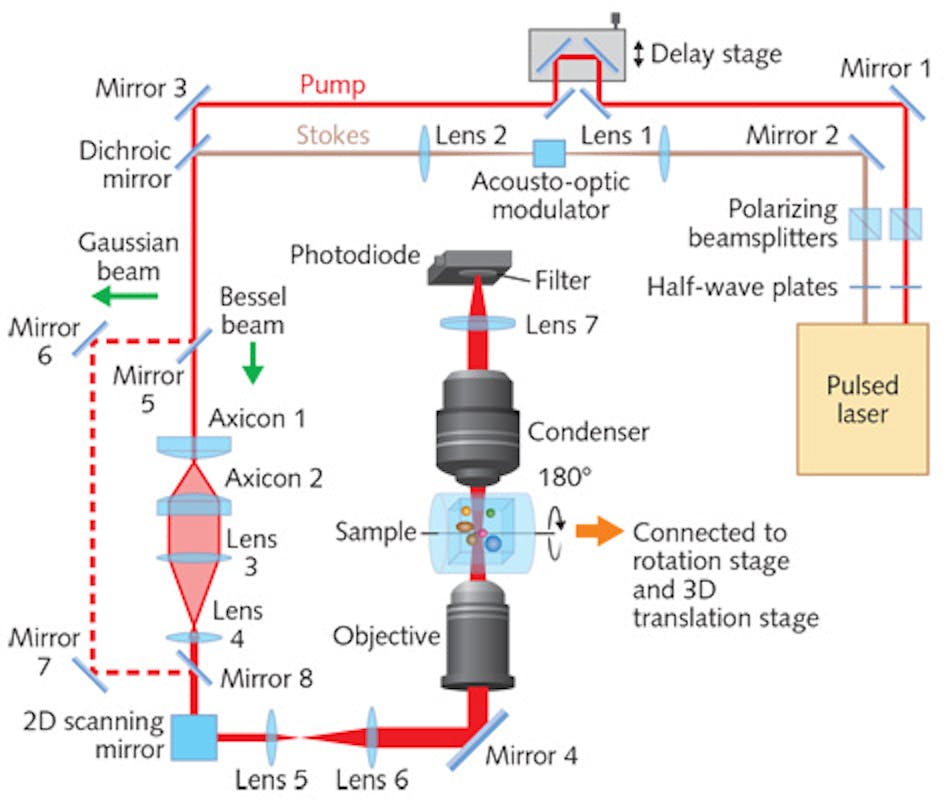 Raman Spectroscopy/Microscopy: Advances in SRS stimulate breakthroughs ...