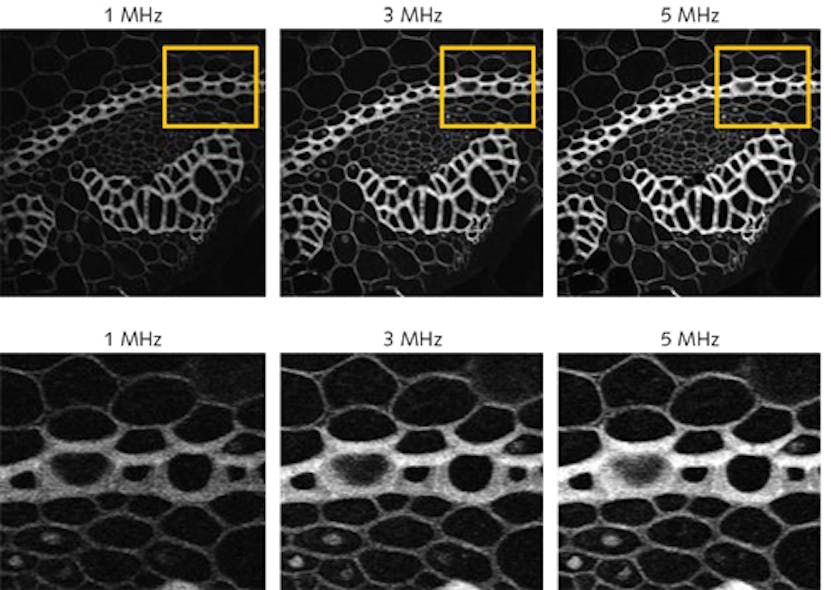 Multiphoton imaging/light sources: New flexibility for deep ...