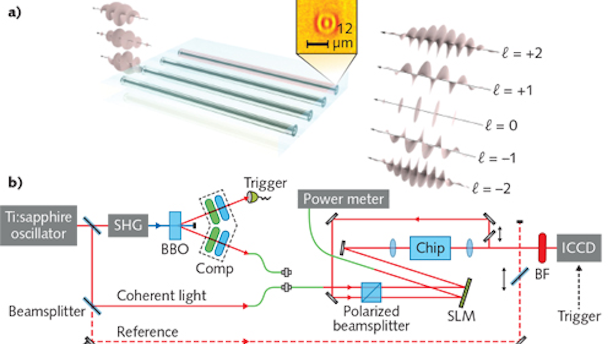 Orbital Angular Momentum Laser Direct Written Waveguides Enable On