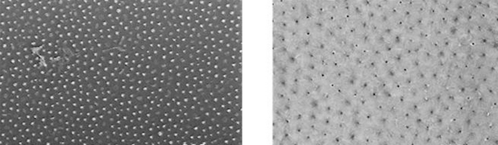 Korean researchers fabricate ordered graphene quantum dot arrays ...
