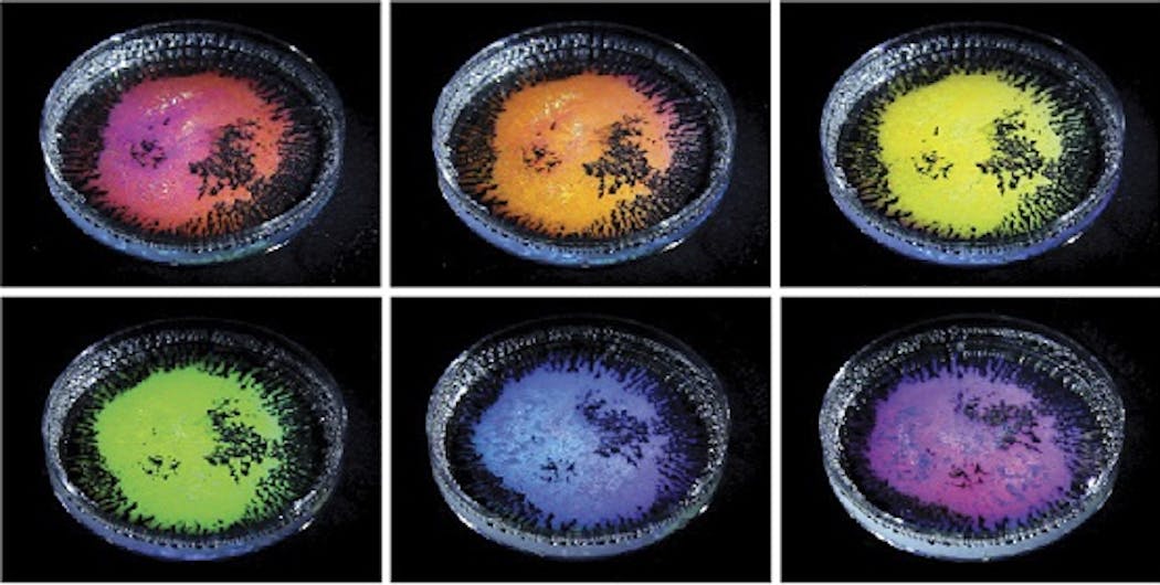 "Structural color" explains iridescence from clear water droplets ...