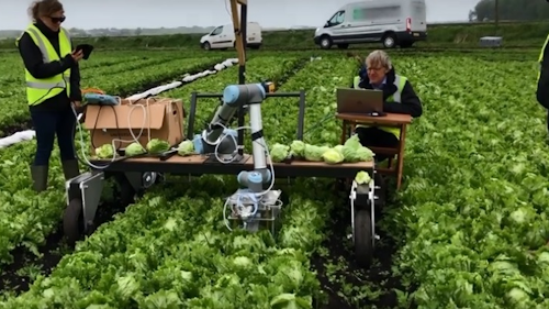 Vegebot machine vision automates lettuce harvesting | Laser Focus World