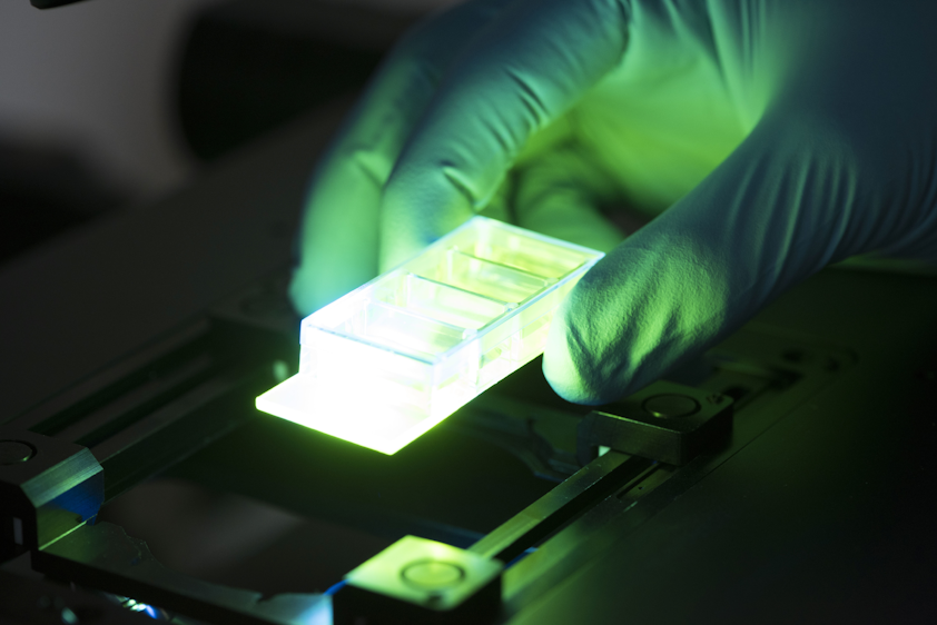 Biosensors: Quantum technology promises better biosensors | Laser Focus ...