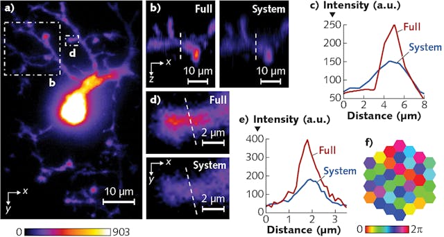 Controlling scatter for high-speed, deep-tissue imaging | Laser Focus World
