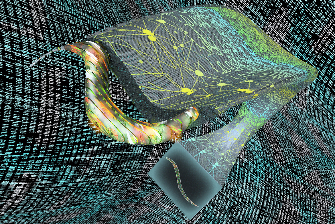 Deep learning converts 2D fluorescence microscopy images into 3D ...