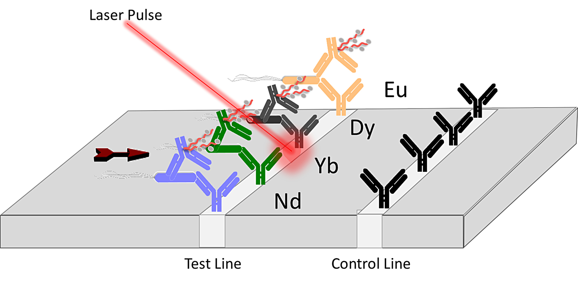 Novel assay, laser pulses pair to speed pathogen detection | Laser ...
