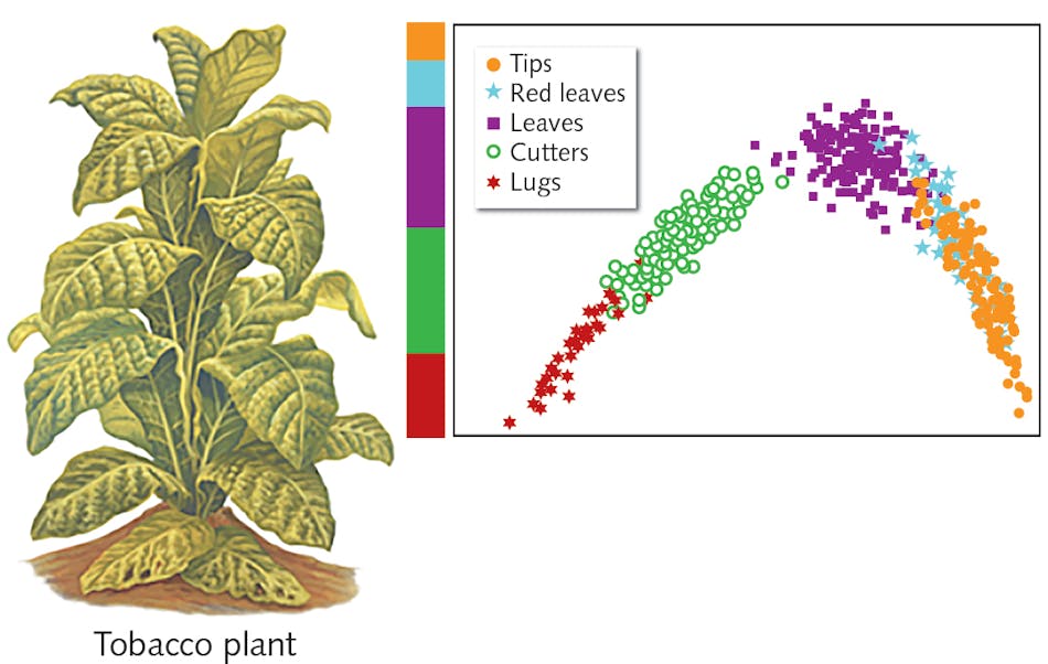 Hyperspectral imaging system grades agricultural products | Laser Focus ...