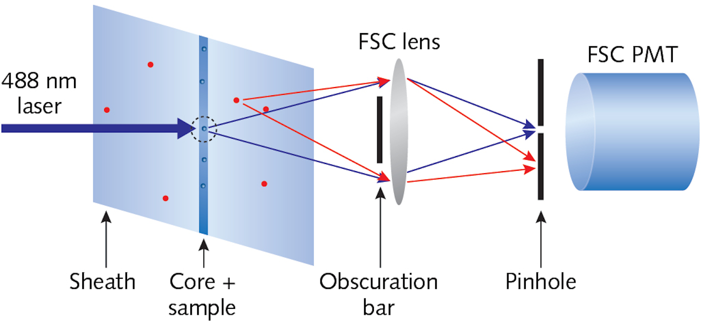 Confocal filtering enables submicron detection with flow cytometry ...
