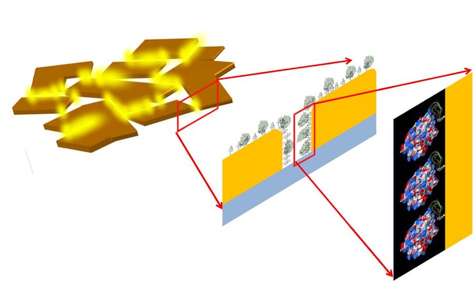 METAMATERIALS/MICROSCOPY/CARDIOLOGY: Magnifying biology with ...