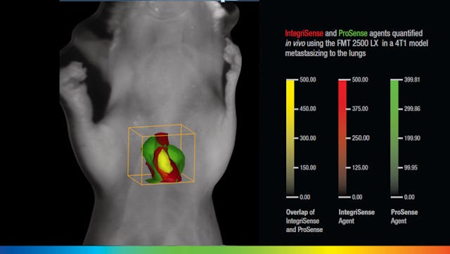 PHOTONICS APPLIED: BIOPHOTONICS: Molecules can't hide from the newest ...