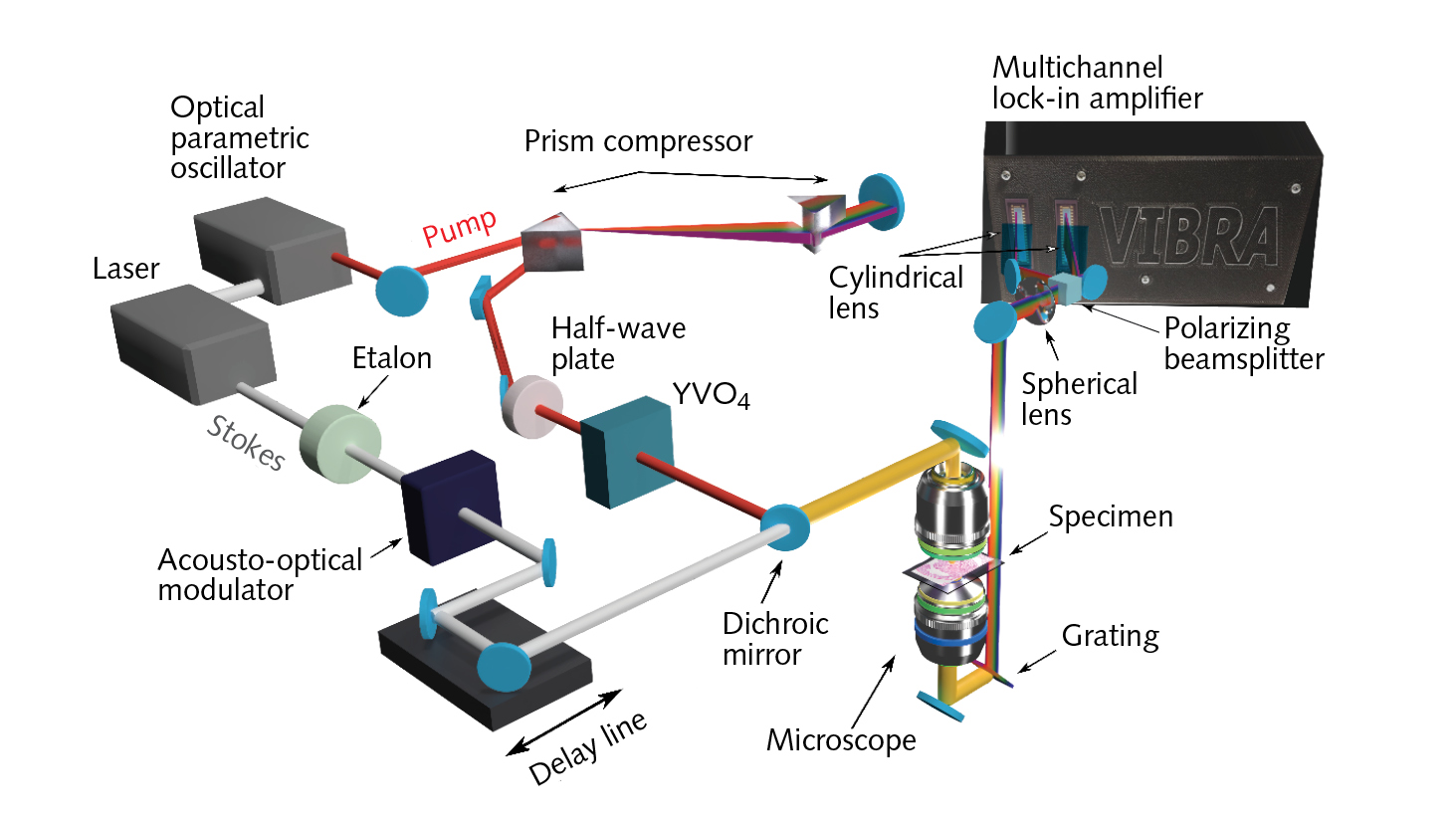 Raman detection refinements offer detailed chemical imaging | Laser ...