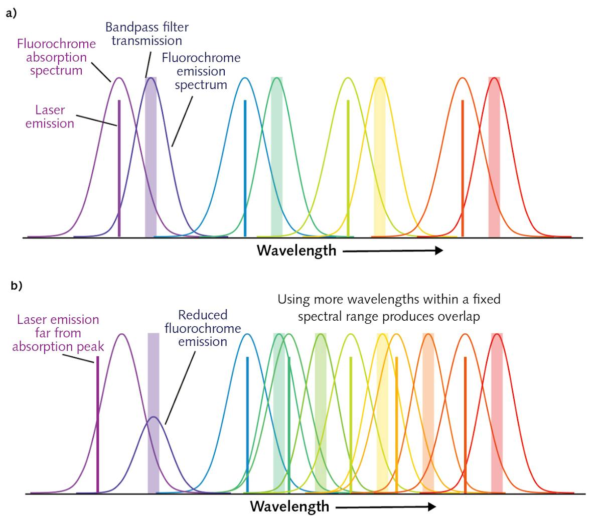 Trends in flow cytometry lasers call for more new wavelengths | Laser ...
