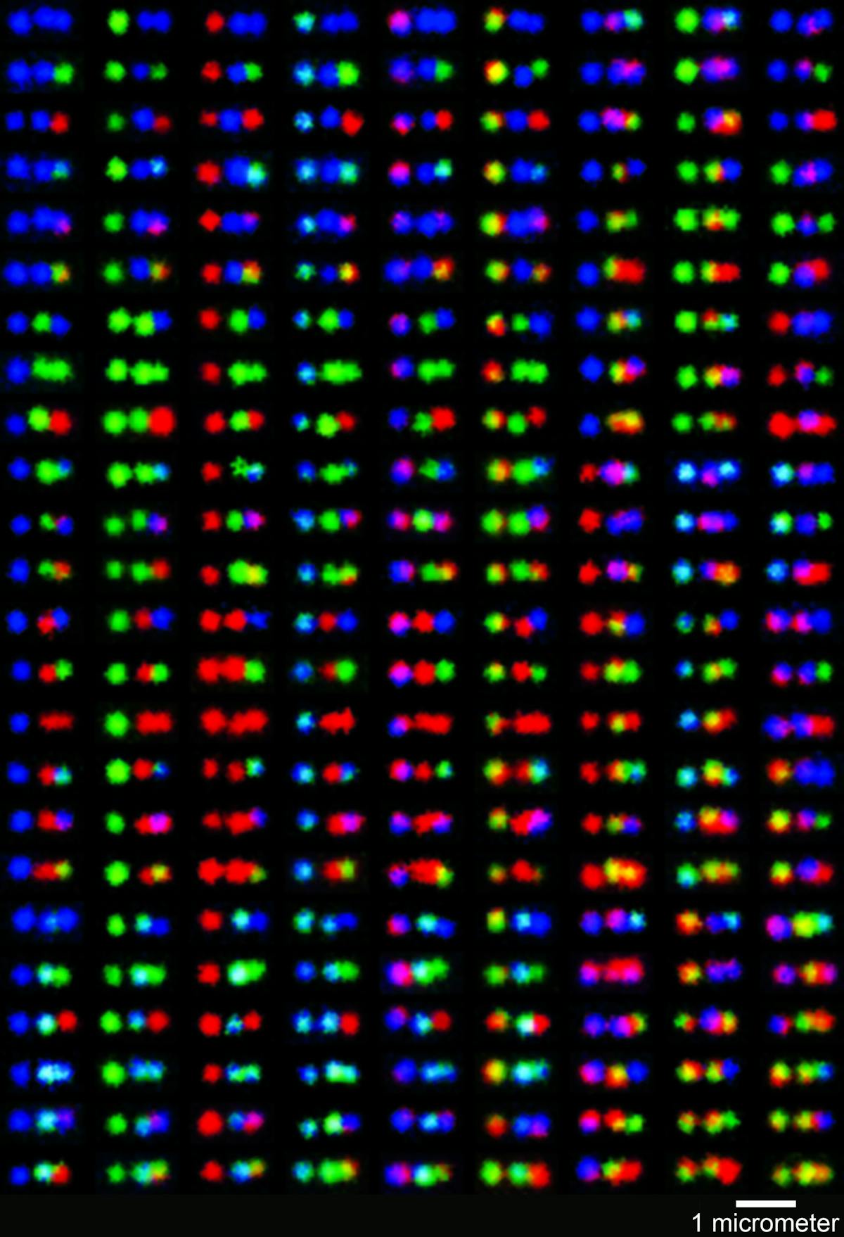 FLUORESCENCE IMAGING/CELL BIOLOGY/DRUG DEVELOPMENT: 'DNA origami ...