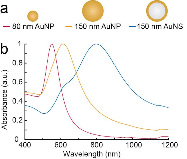 Nanoparticles, NIR laser light combine to destroy cancer cells | Laser ...