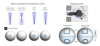 Fiddler crabs’ compound eyes inspire amphibious panoramic camera ...