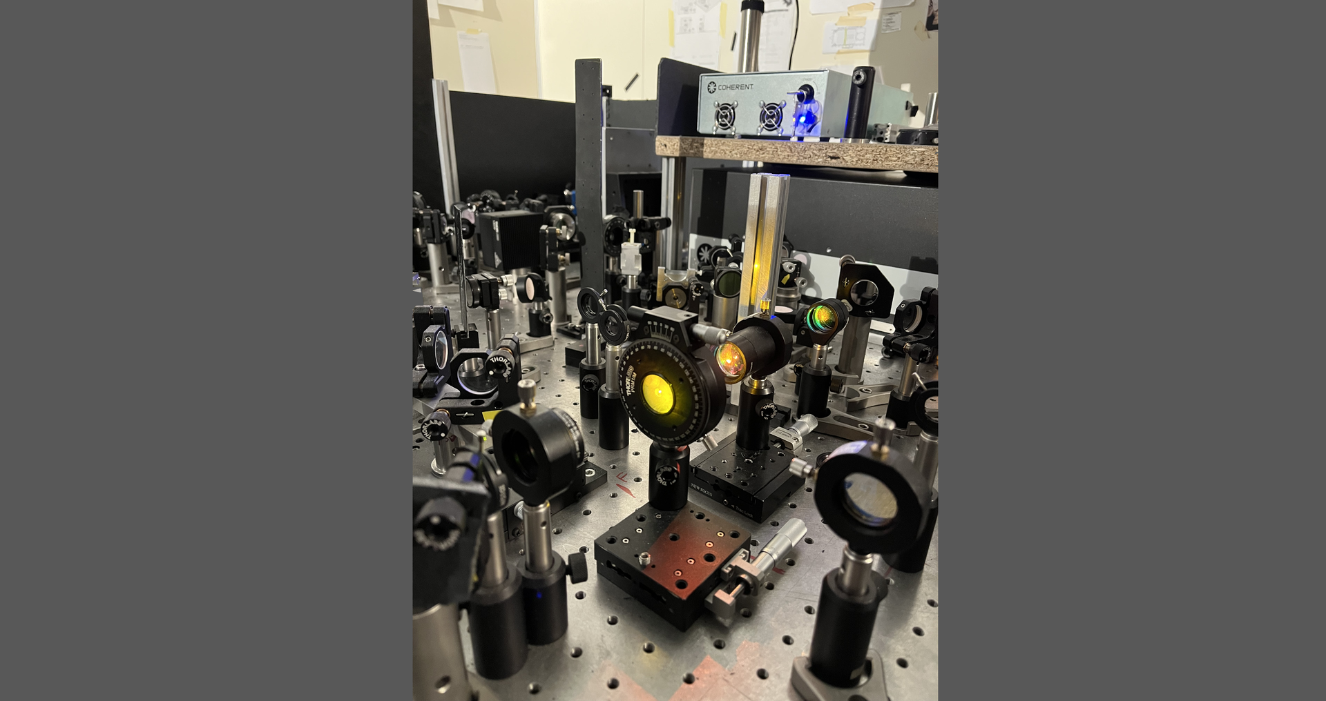 Bioimaging advance aids creation of enhanced clinical devices | Laser ...