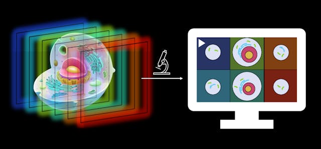 Next-generation microscope boosts opportunities | Laser Focus World