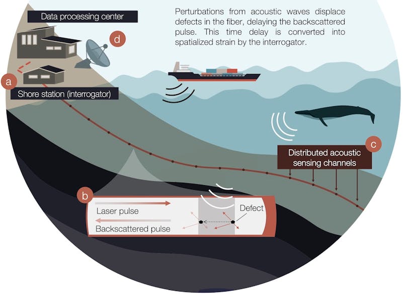 ‘Listening’ to Earth using fiber-optic cables | Laser Focus World