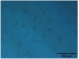UV spectroscopy becomes a powerhouse for emissions monitoring | Laser ...