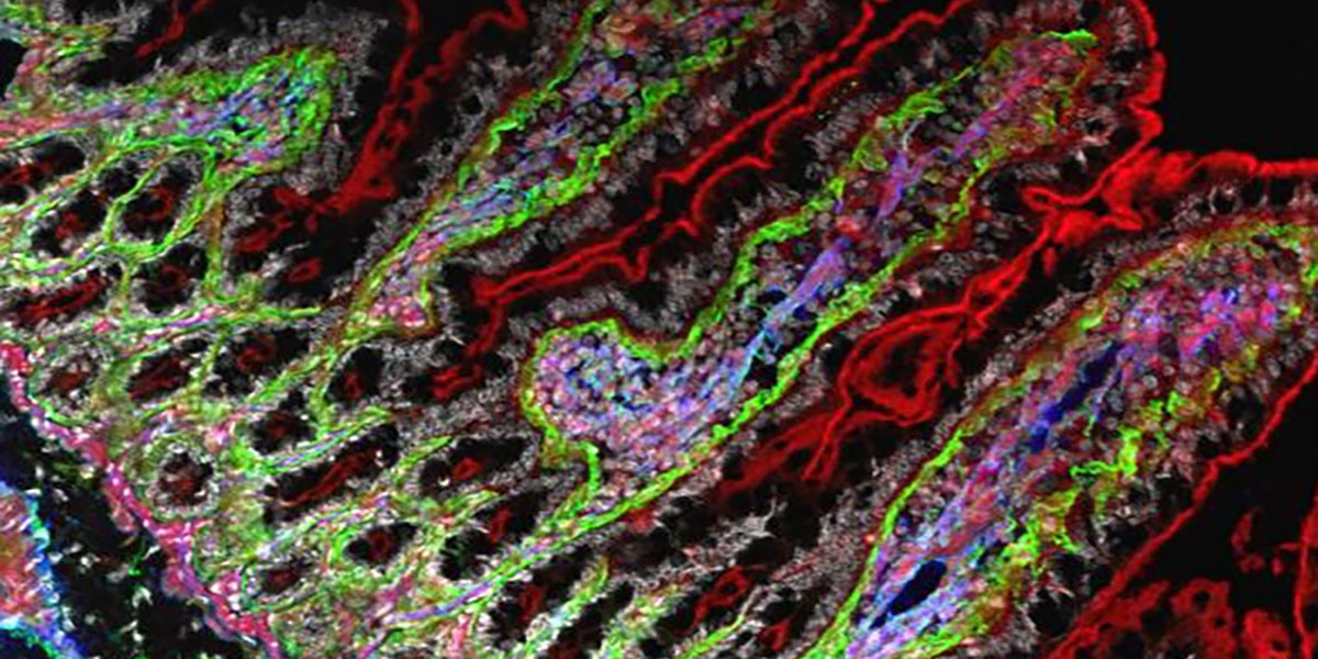 Bullseye® Apodizing Variable Coatings / Filters | Laser Focus World