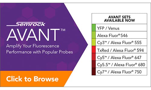 Maximize Fluorescence Performance with the Semrock Avant Filter Set ...