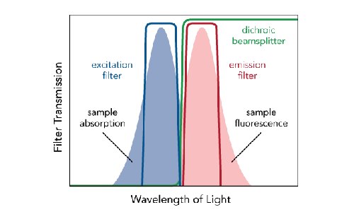 Understanding Practical Uses and Optimization Techniques for ...