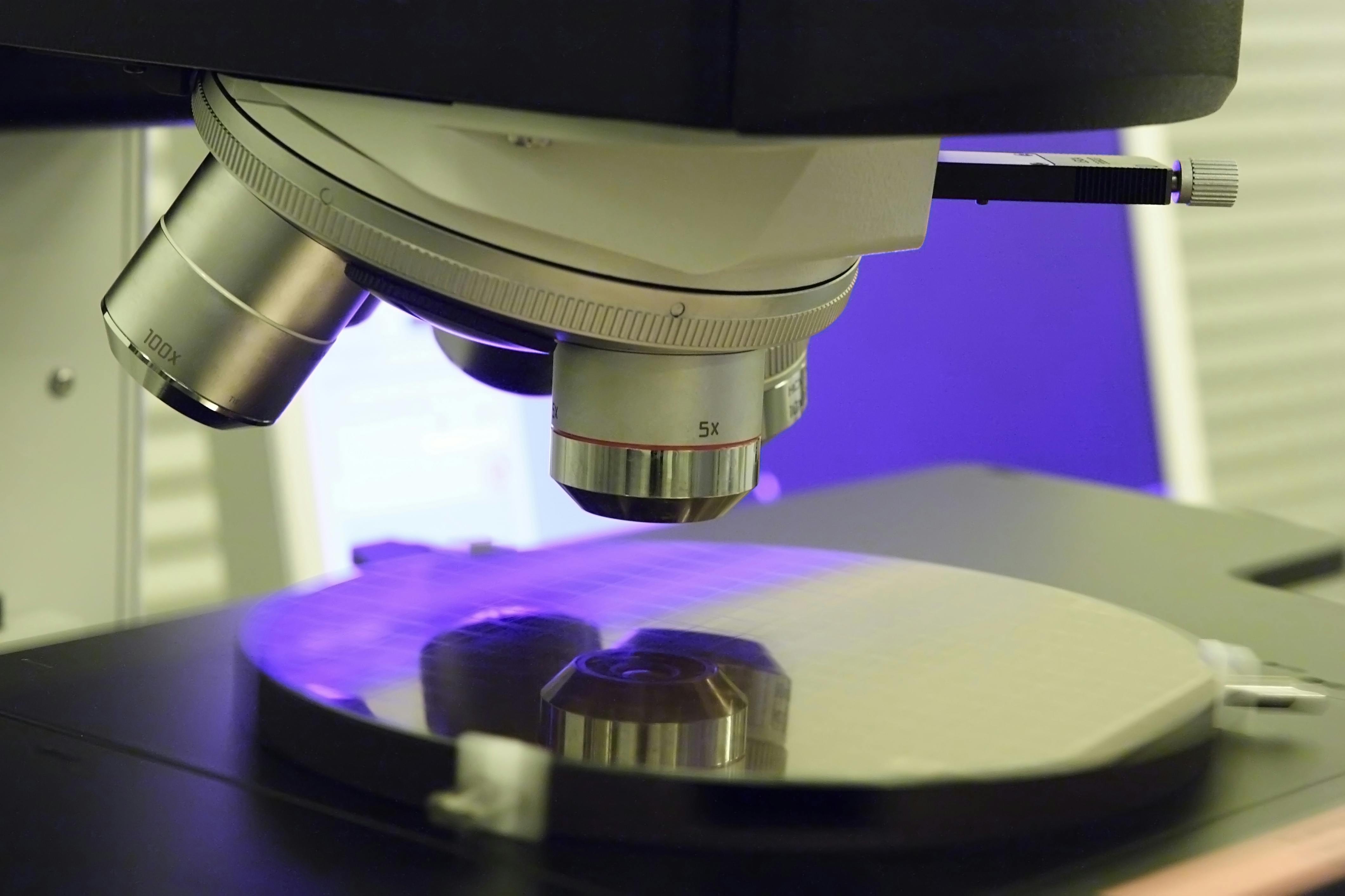 Confocal Fluorescence Microscopy Images Showing The