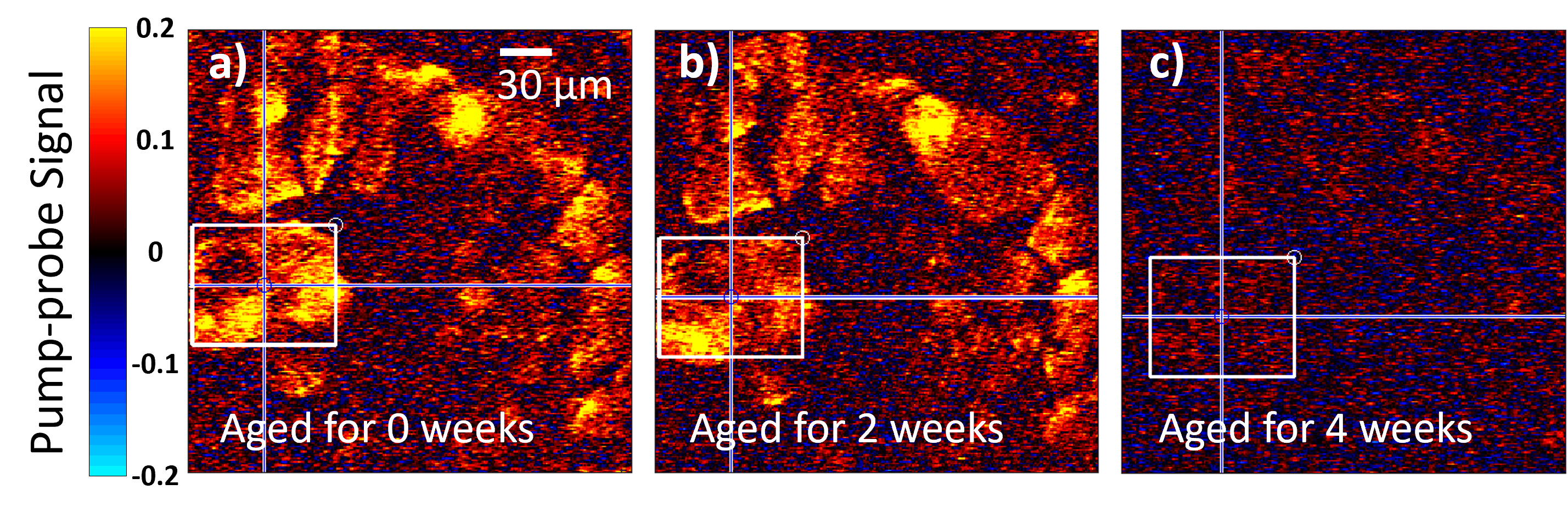 Pump-probe microscopy advances artwork restoration | Laser Focus World