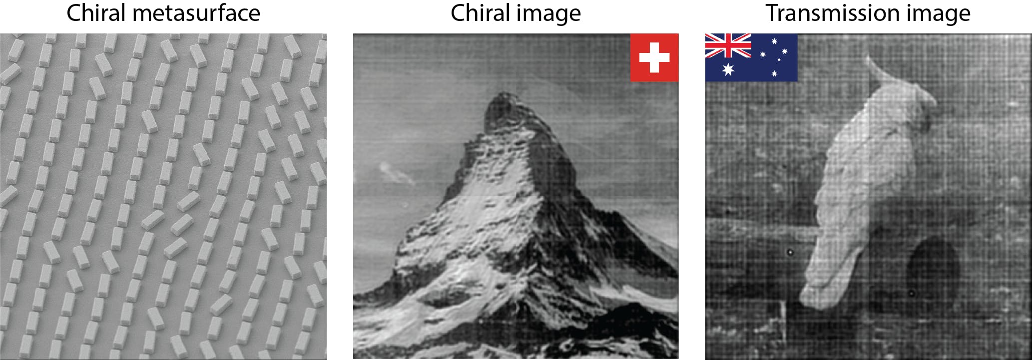 Chiral metasurfaces encrypt secrets within light | Laser Focus World